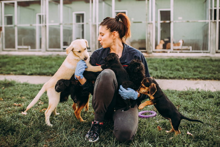 Animal Caretaker Job Description Sample Template ZipRecruiter animal-caretaker-job-description-sample-template-ziprecruiter