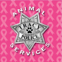 CITY OF TRACY Jobs in Tracy, CA (Now Hiring) Jan 2026