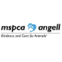 Mspca-Angell Diagnostic Imaging Ultrasound Technician Or Assistant Job ...