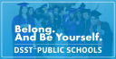 Dsst Public Schools Mental Health Internship Placement Interest Job Denver