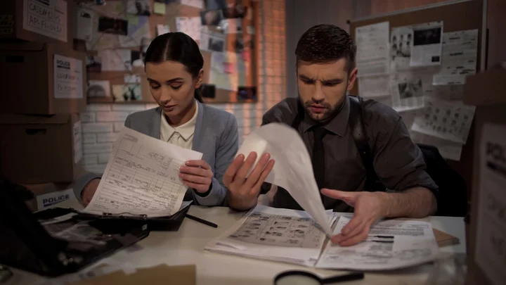 Criminal Profiler Job Description Sample Template