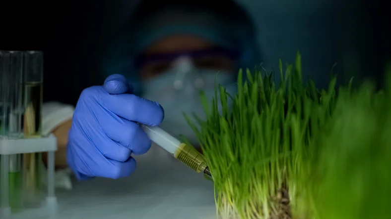 Bioprocess Engineer: What Is It? and How to Become One?