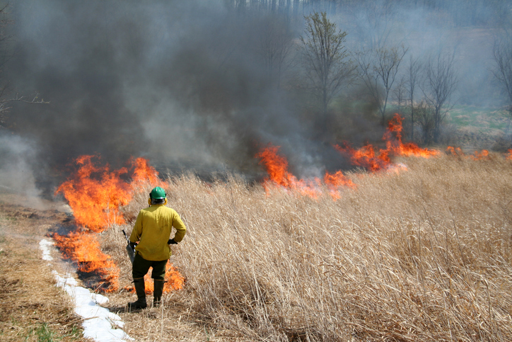 Seasonal Wildland Firefighter: What Is It? and How to Become One?