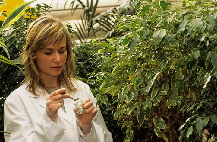 Botanist Job Description Sample Template | ZipRecruiter