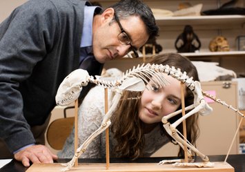 Museum Curator Job Description Sample Template