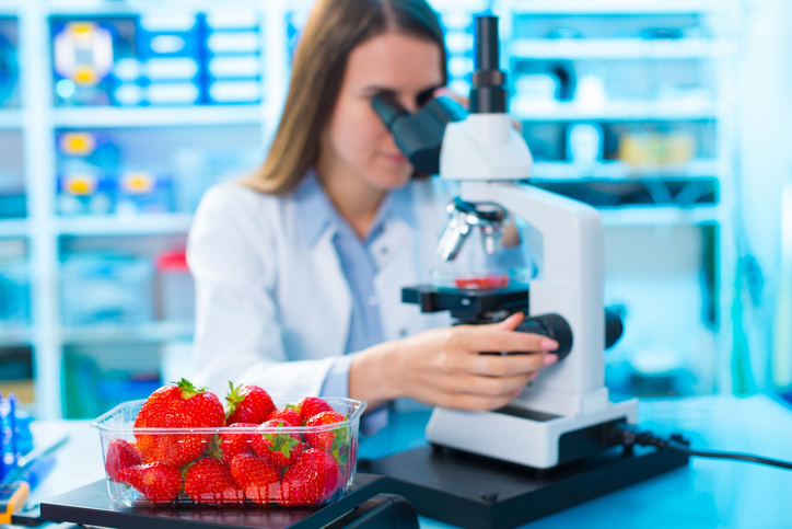 Food Scientist: What Is It? and How to Become One? | Ziprecruiter