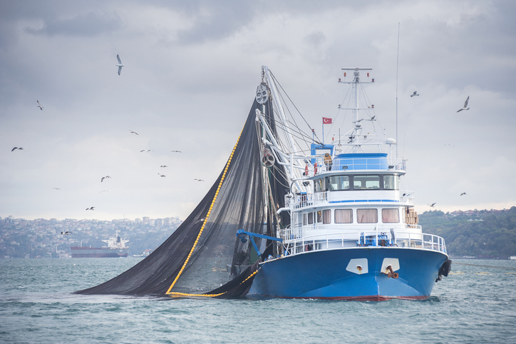 Fishing Industry Jobs - What Are They and How to Get One | Ziprecruiter