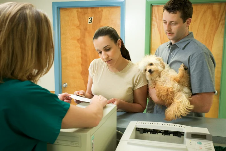 Part Time Veterinary Receptionist: What Is It? and How to Become One?