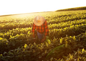 Farm Hand Job Description Sample Template | ZipRecruiter