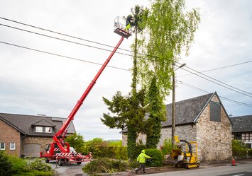 Lawn Care Worker Job Description Sample Template